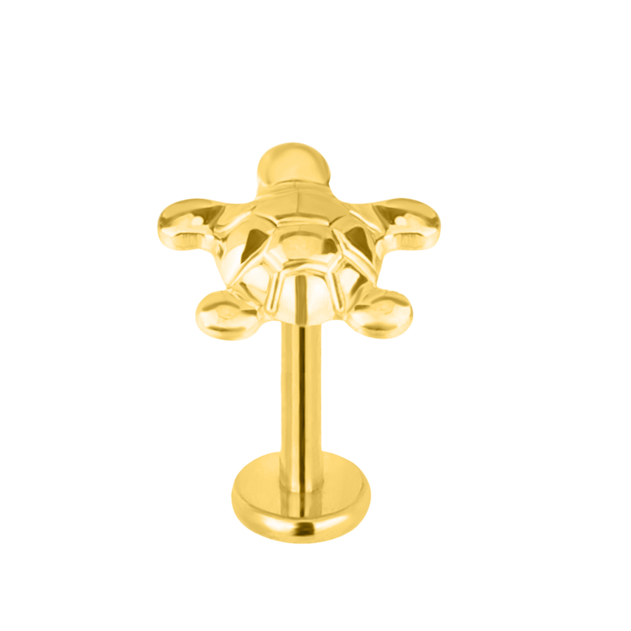 Cute Threadless Push Pin Labret Studs | 16g – Mint & Lily